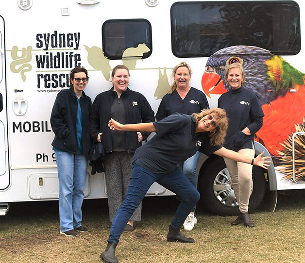 Sydney Wildlife Rescue's Mobile Care Unit - The Tawny Frogmouth